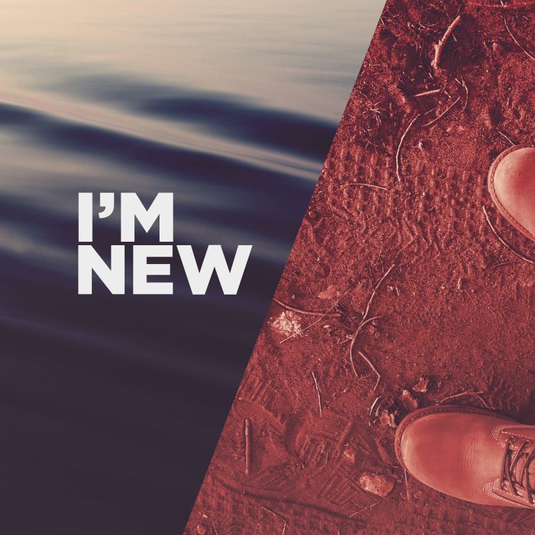 Home - Action Chapel International UK